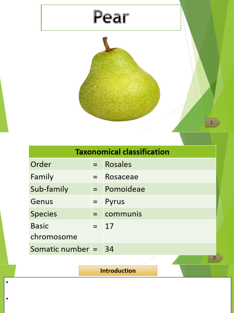Unit 3 Pear | PDF