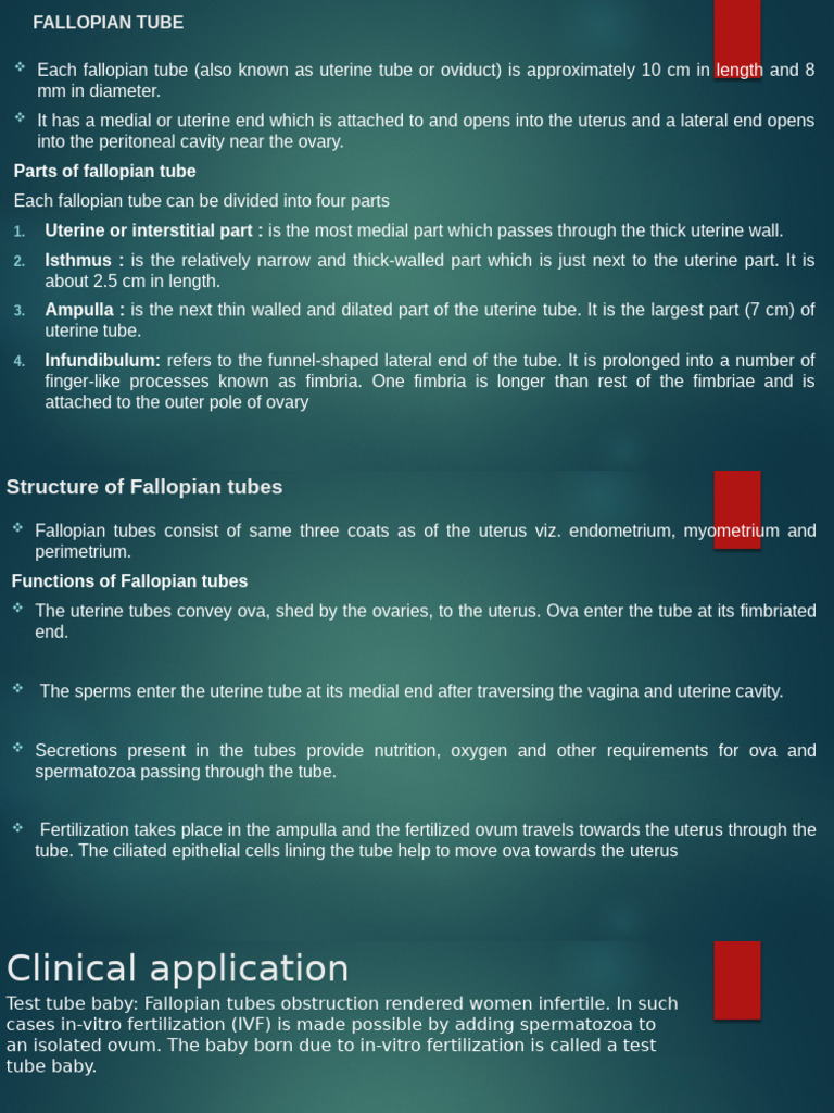 Female Rep Organs 2 - 095415 | PDF