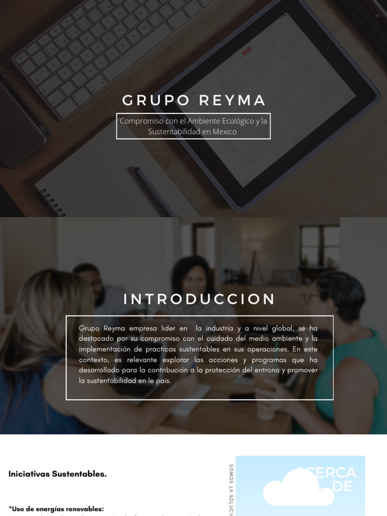 Grupo Reyma | PDF