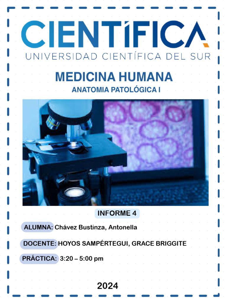 Informe 7 | PDF