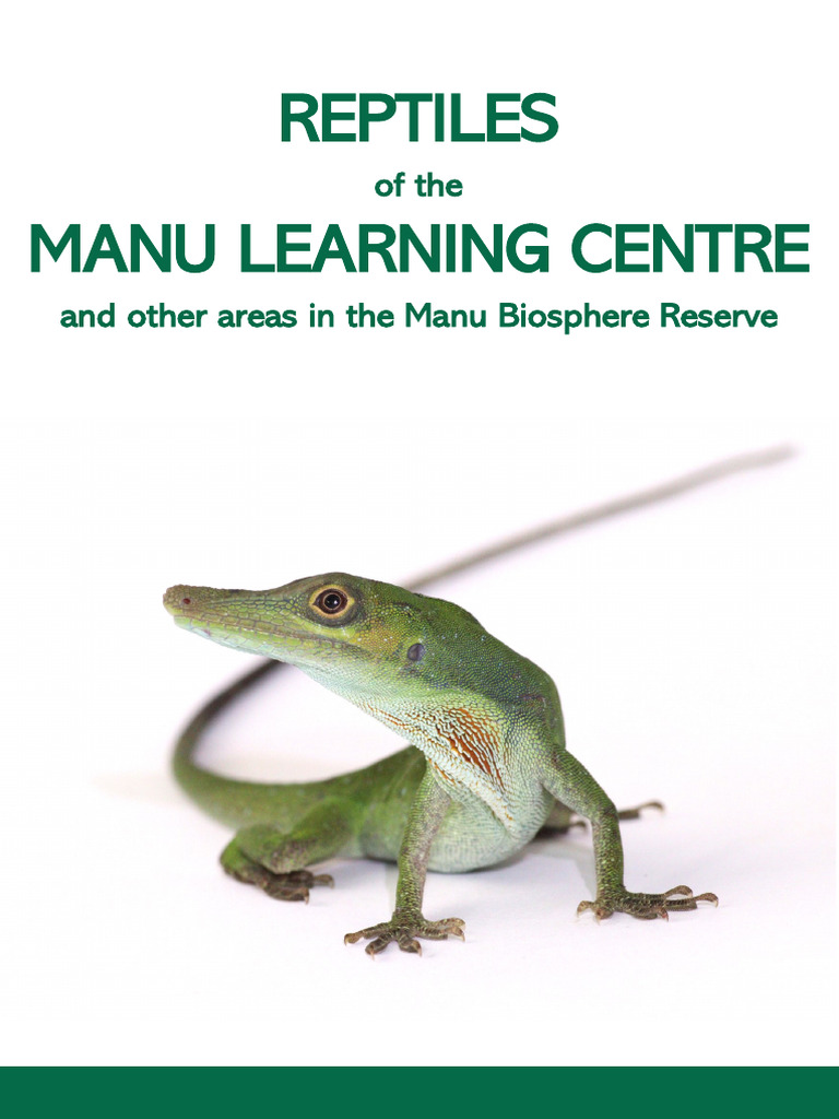 Reptile Guide Example | PDF