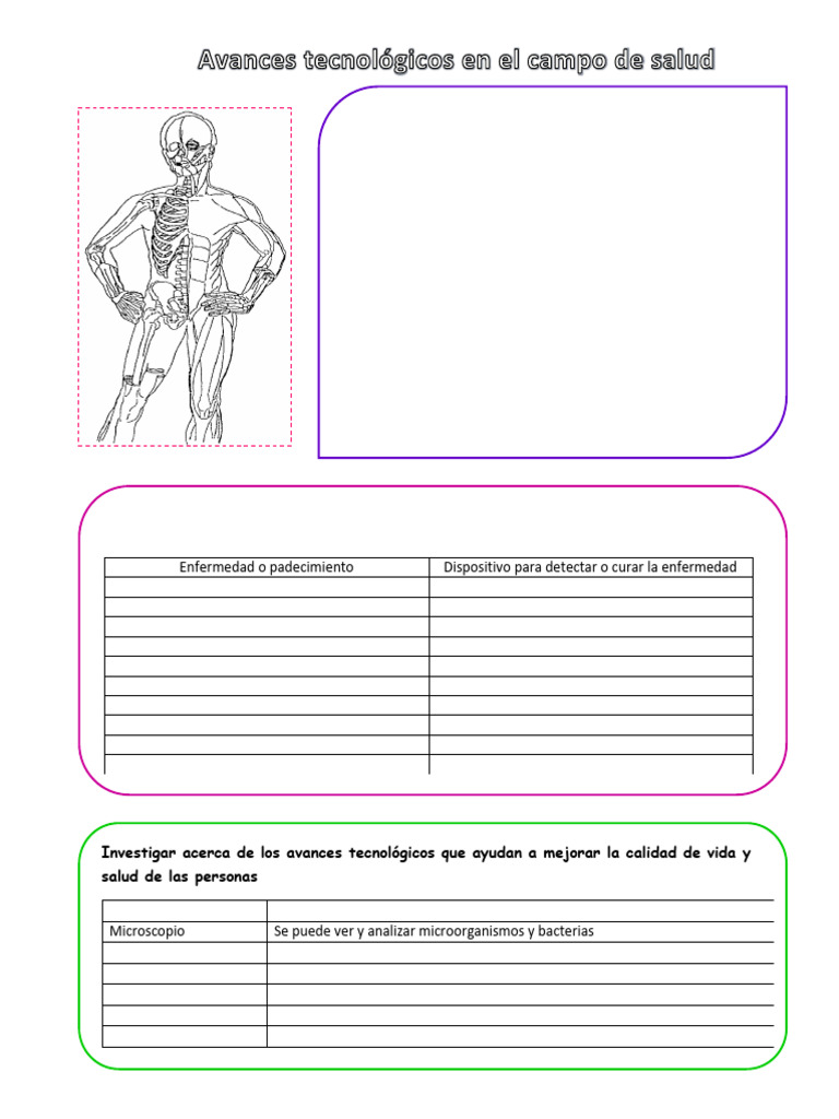 Sistemas Del Cuerpo Humano | PDF