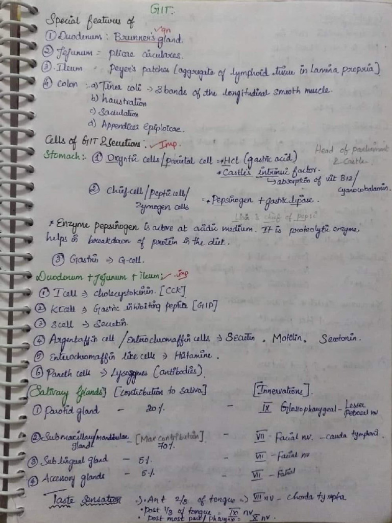 Physio (GIT, Endocrine) | PDF