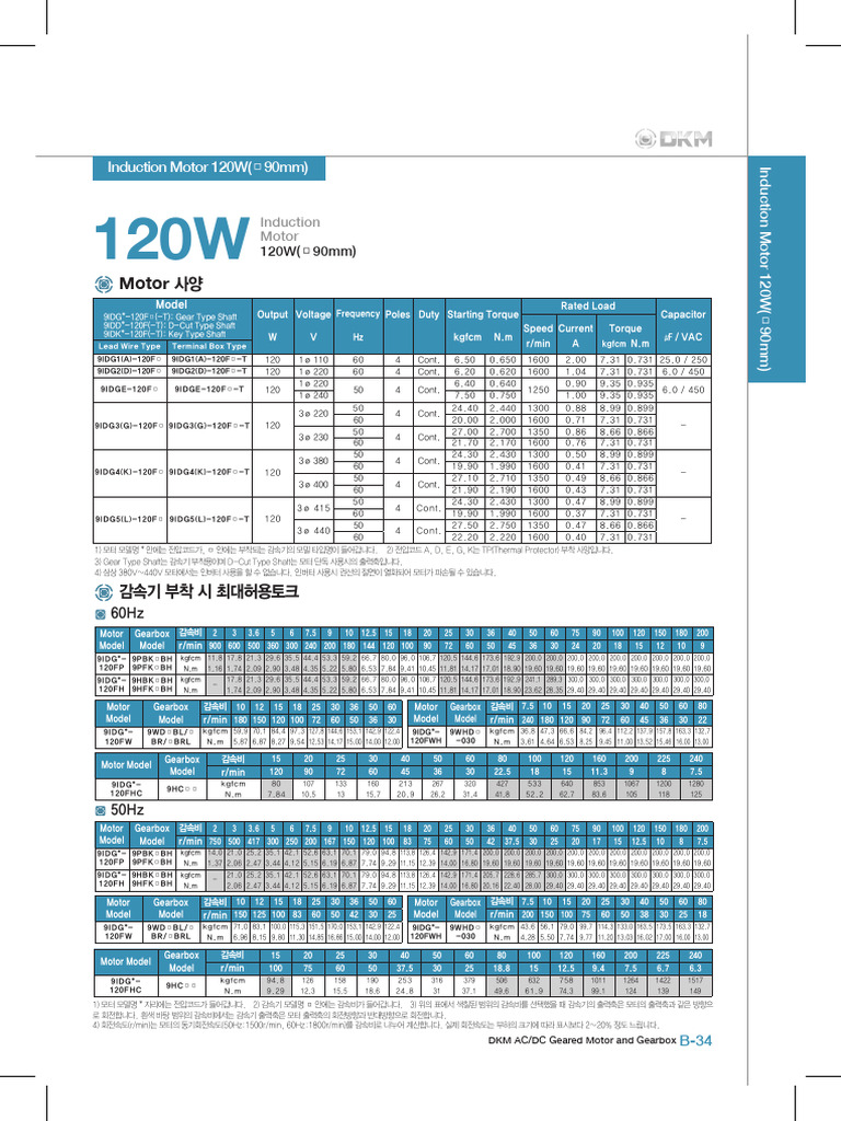 Motor 120W S90 DKM | PDF