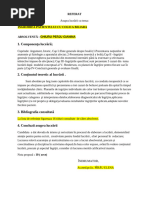 Referat Medic Specialist - Handicap | PDF