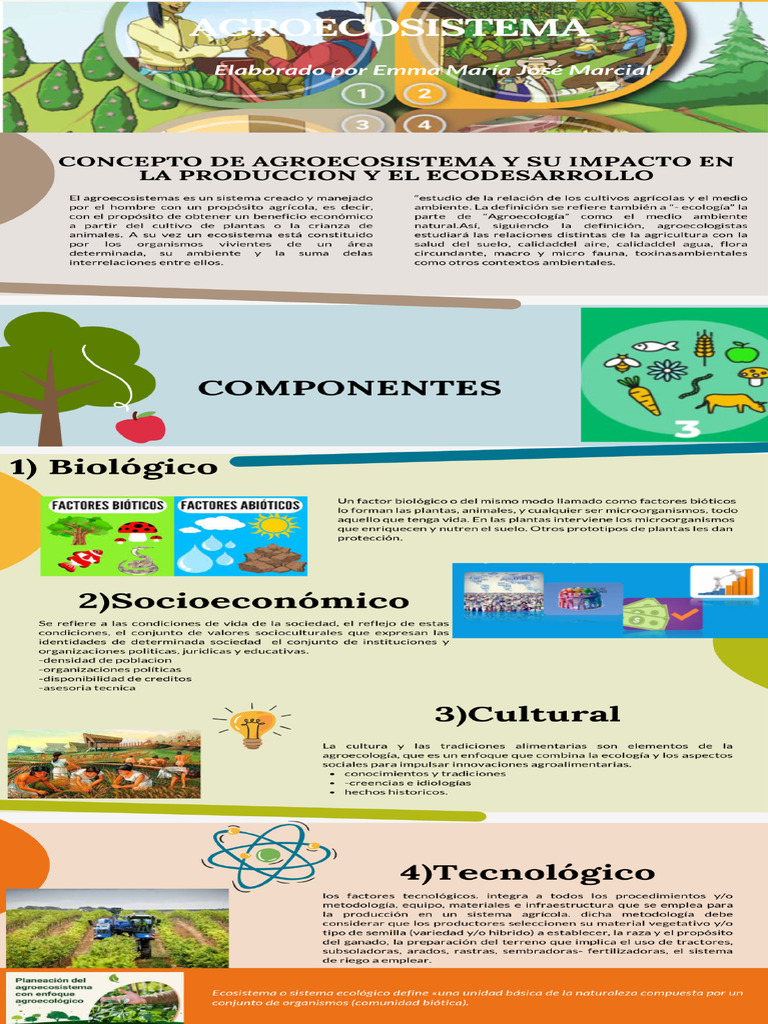 INFOGRAFÍA - Agroecosistema y Componentes | PDF