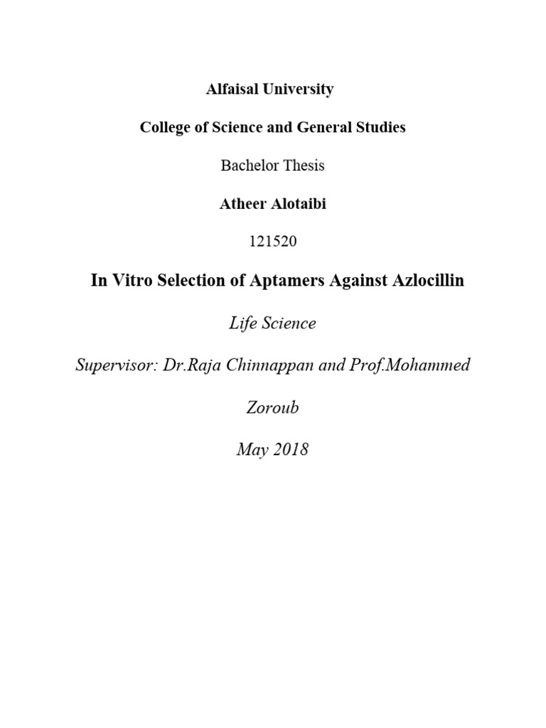 Old Thesis | PDF
