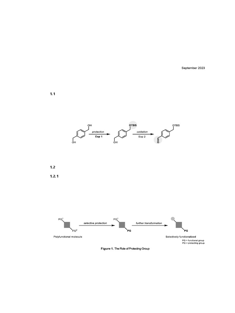 Exp 1 Manual Protection Of Functional Groups For Selective Post Functionalization Pdf