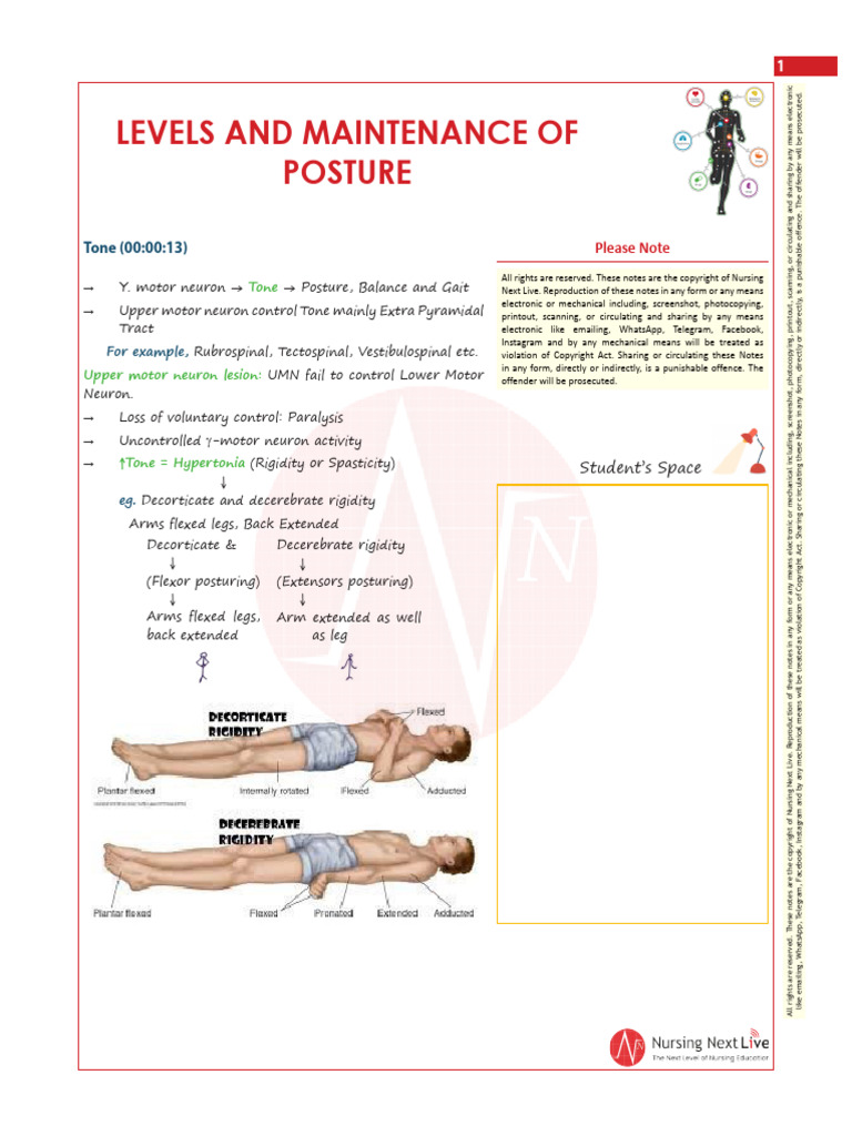 Level and Maintenance of Posture | PDF