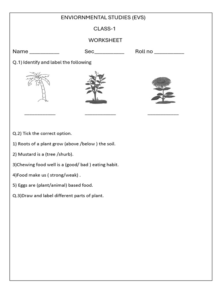 EVS WORKSHEET-3 CLASS-1 | PDF