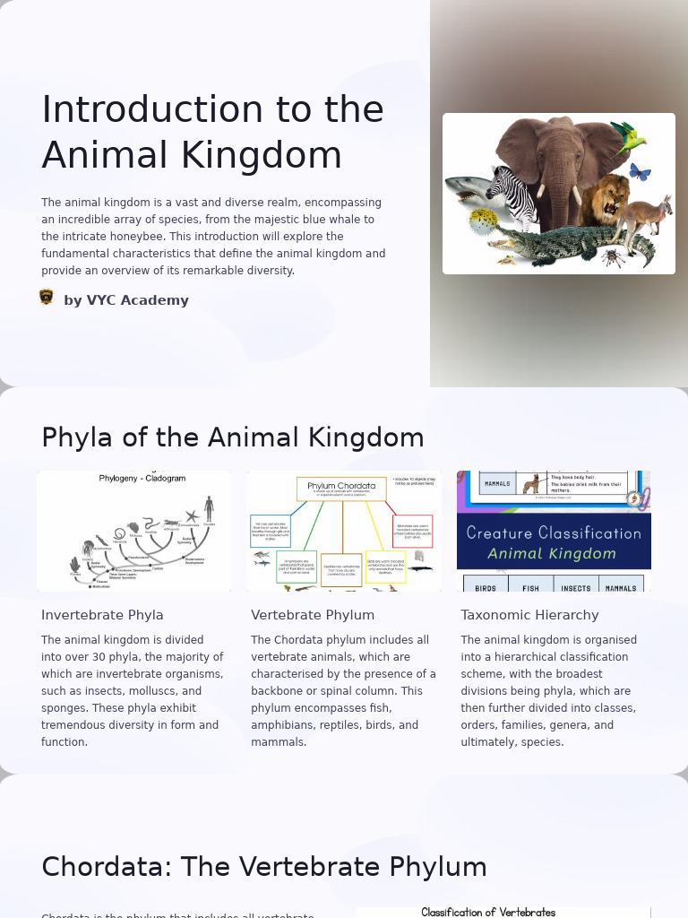 Introduction To The Animal Kingdom | PDF