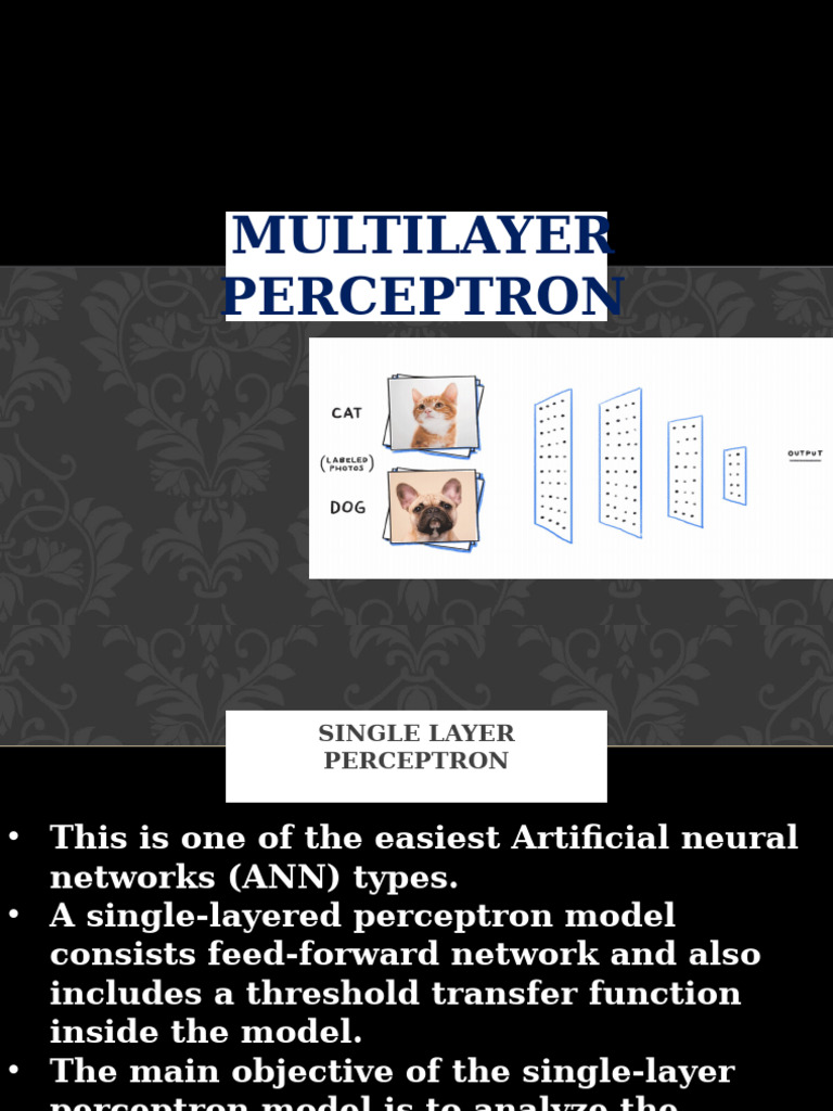 Multilayer Perceptron | PDF