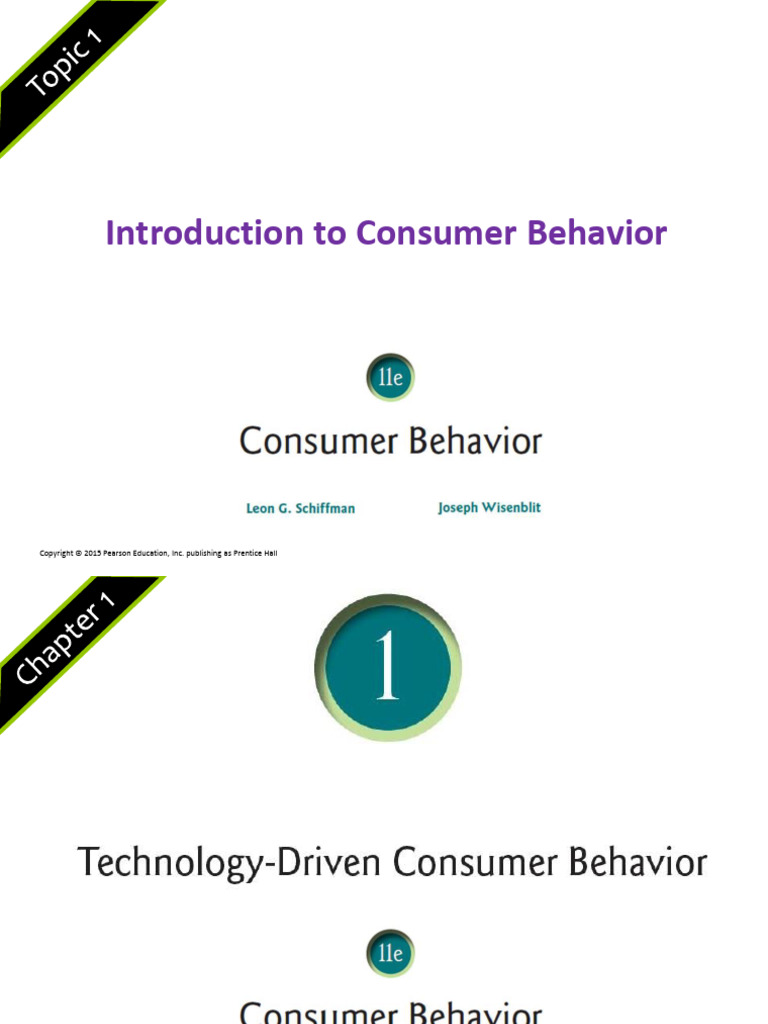 Topic 1 - Introduction To Consumer Behavior - T1 - 2024 | PDF