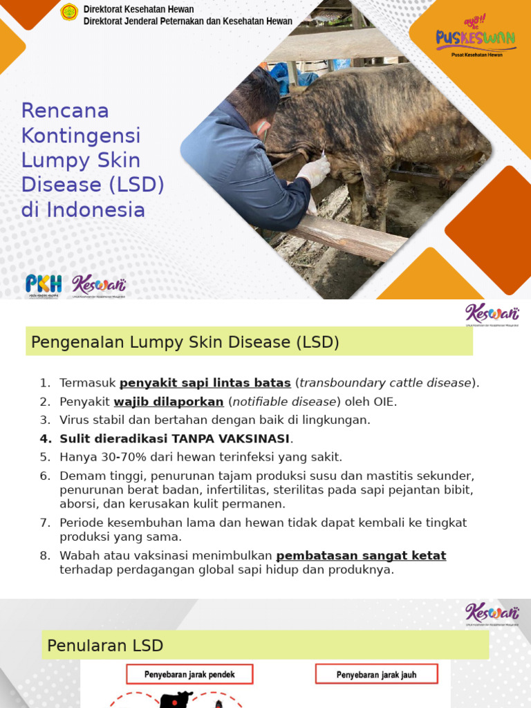 Rencana kontingensi LSD di Pulau Jawa_drh Arif Wicaksono | PDF