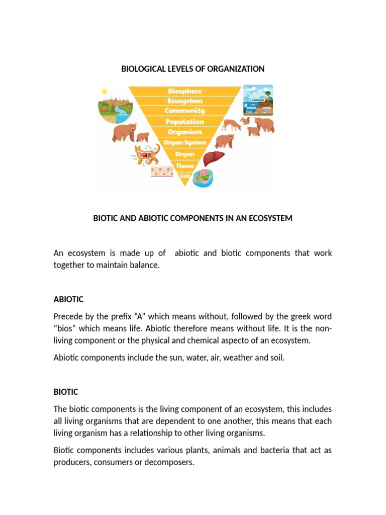Abiotic and Biotic Components | PDF