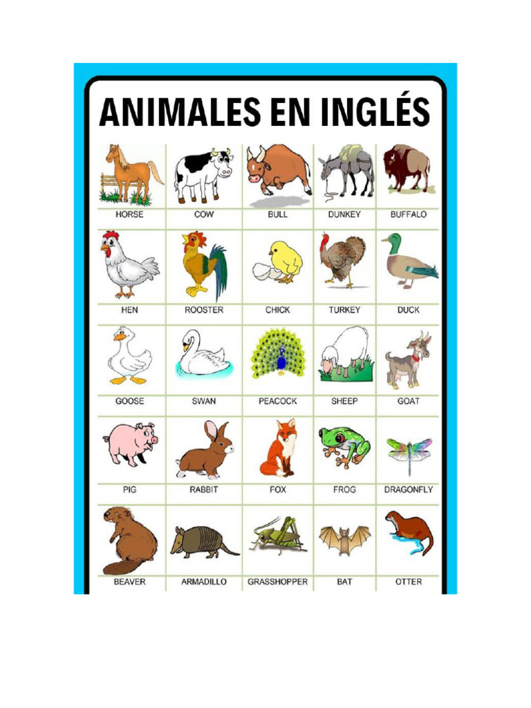 Ficha de Animales en Ingles | PDF