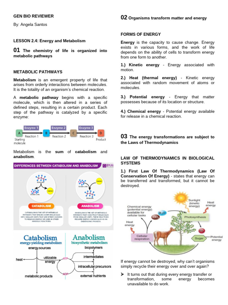 Gen Bio Reviewer | PDF