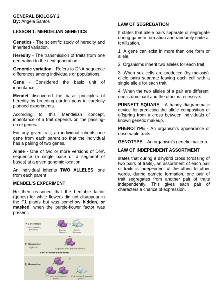 Reviewer Bio | PDF