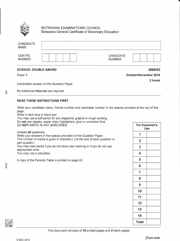 Bgcse Sda Pp3 2019 | PDF