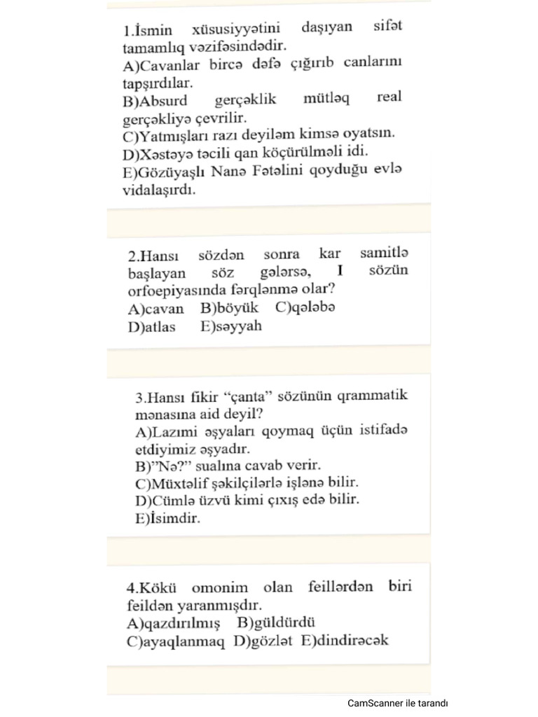 Birlik Team | PDF