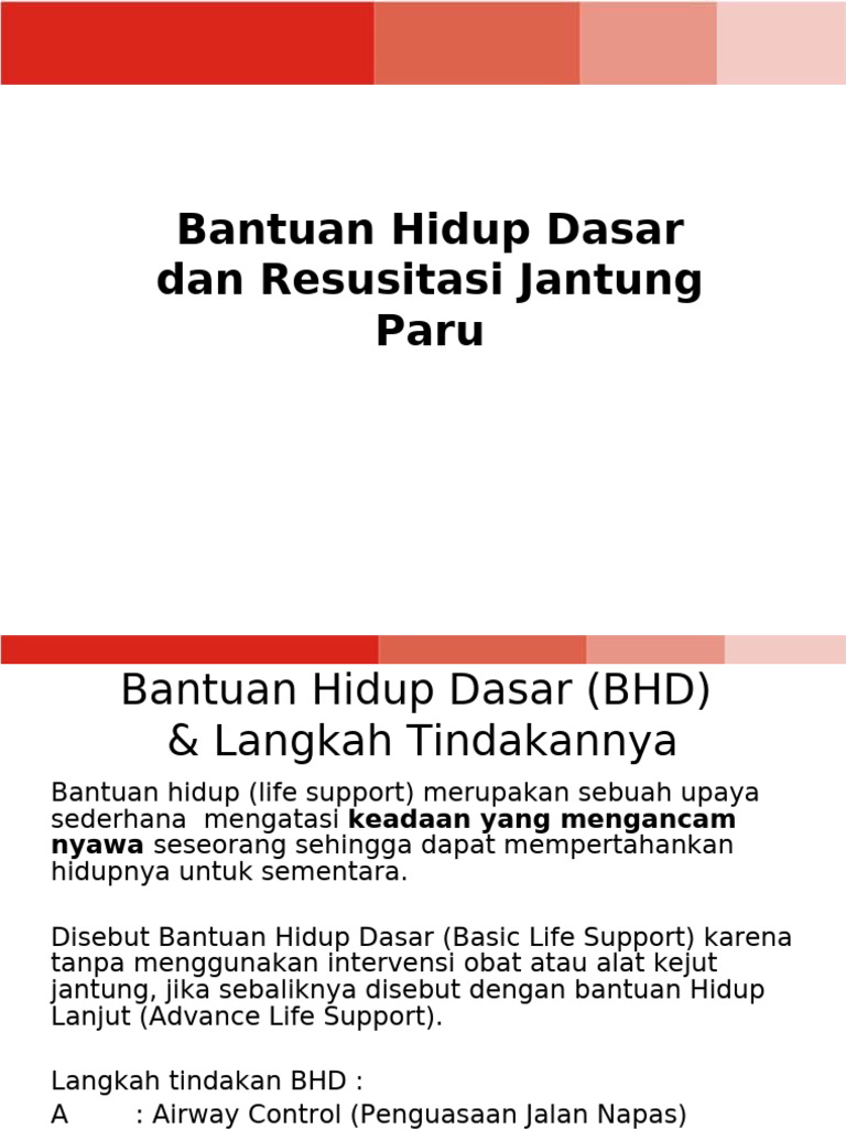 4. BHD RJP | PDF