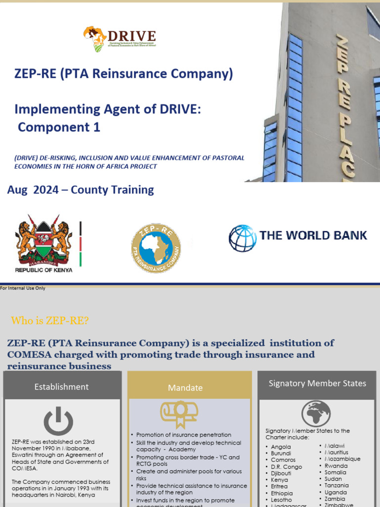 The DRIVE Project | PDF | Economies