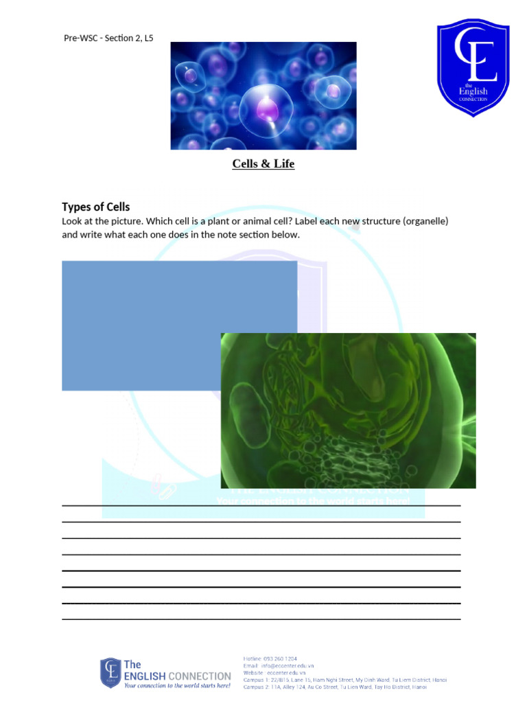 Cells & Life | PDF