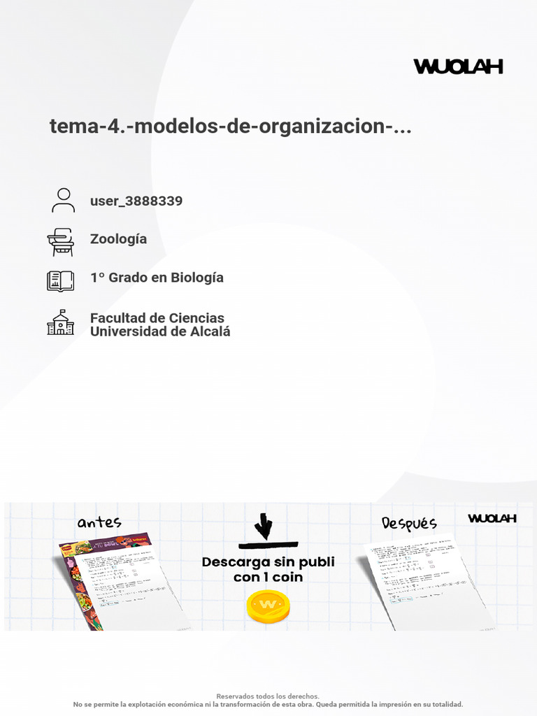 Tema 4. Modelos de Organizacion .. | PDF