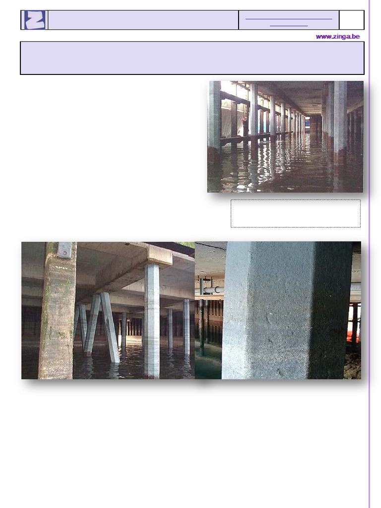 Immersed Pier Legs - Ireland | PDF