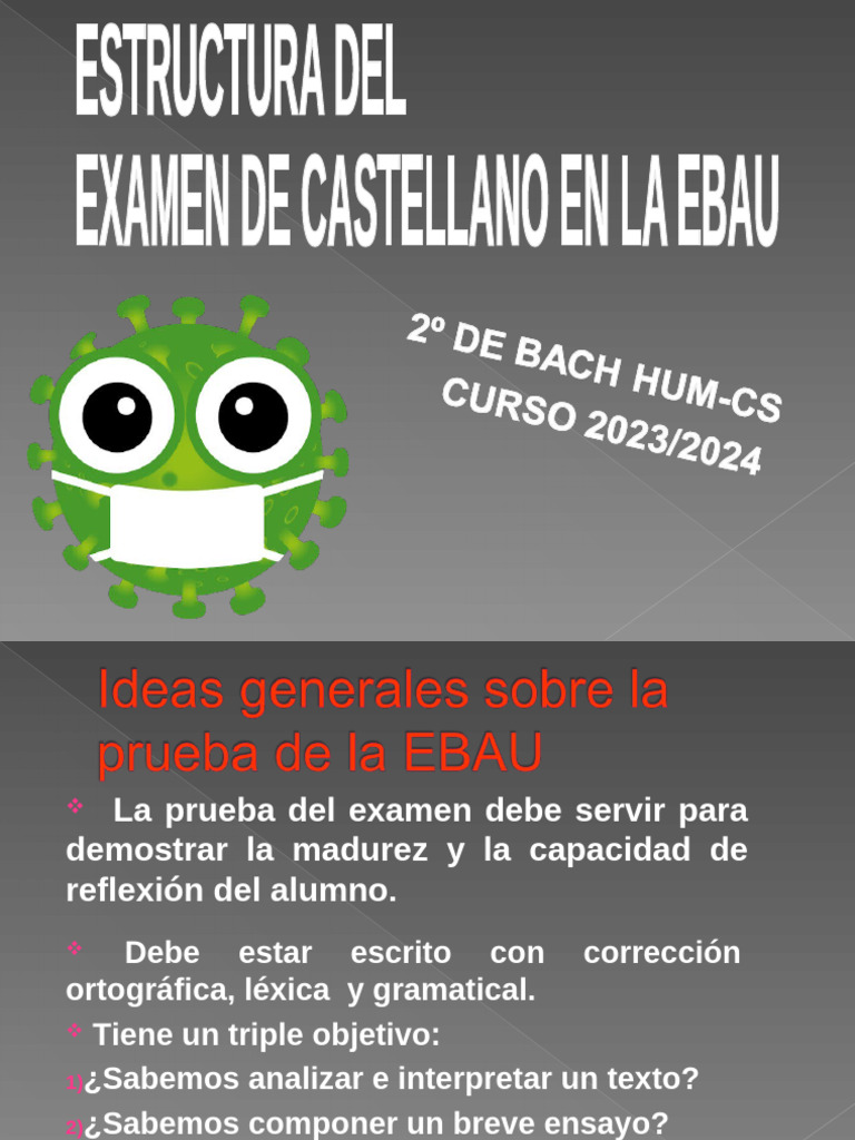 FORMATO EXAMEN EBAU K | PDF | Comunicação humana | Gramática