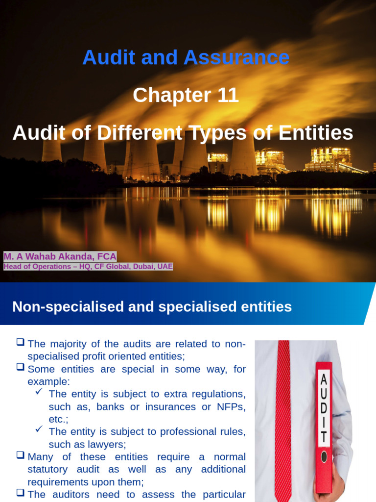Day 4 - Chapter 11 - Audit of Different Types of Entities | PDF