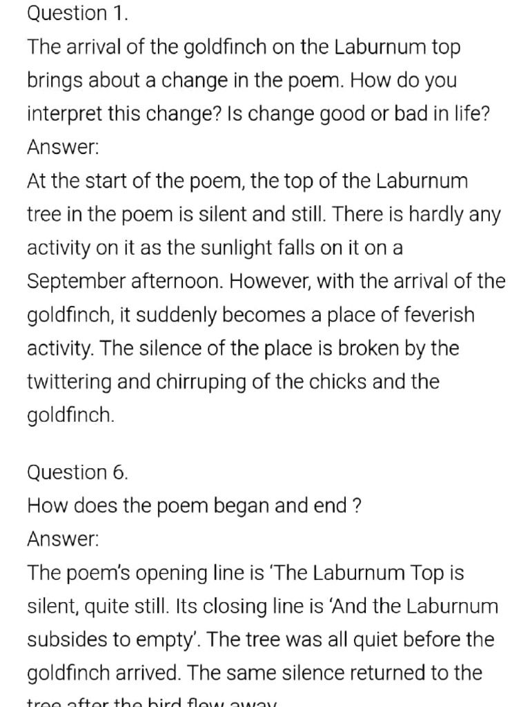 The Laburnum Top | PDF