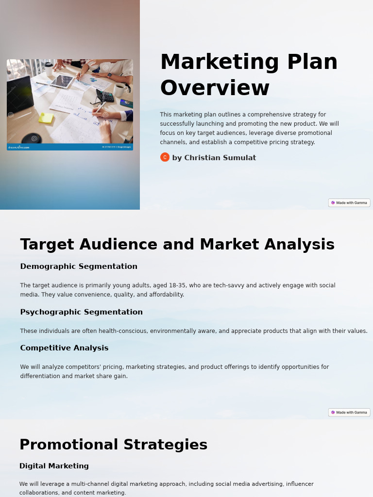 Marketing Plan Overview | PDF
