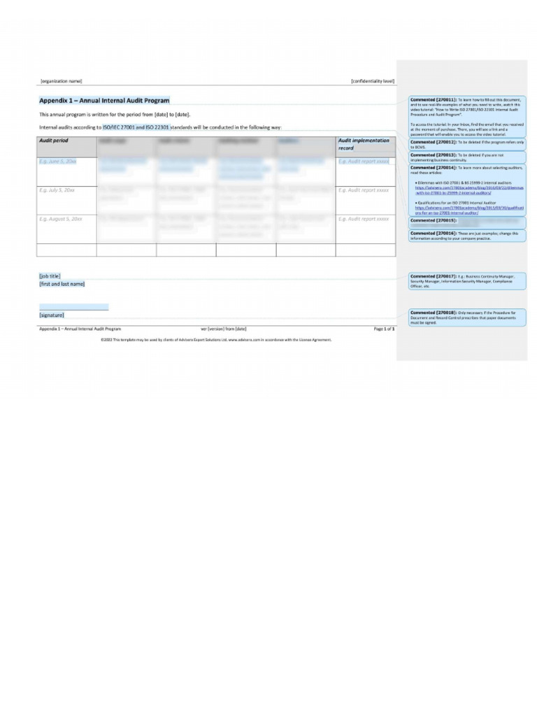 Annual Internal Audit | PDF