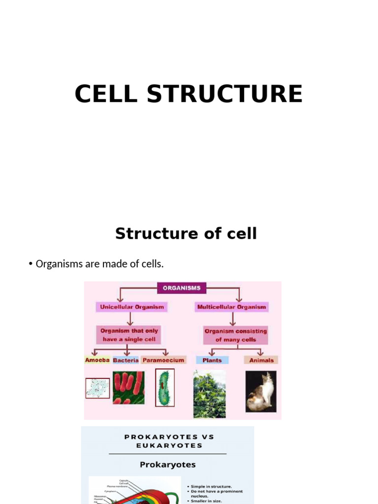 Unit 2 - Organisation of The Organism | PDF