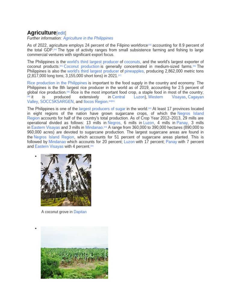 Philippine Economy | PDF