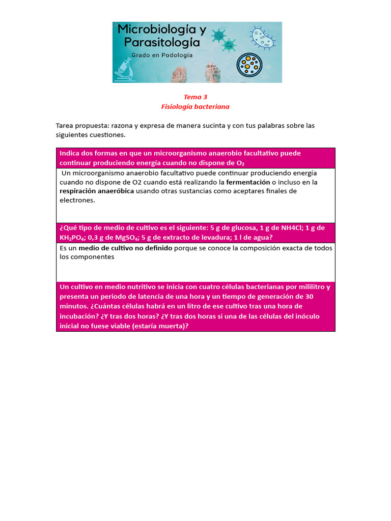 Tarea - Tema3 Ok | PDF