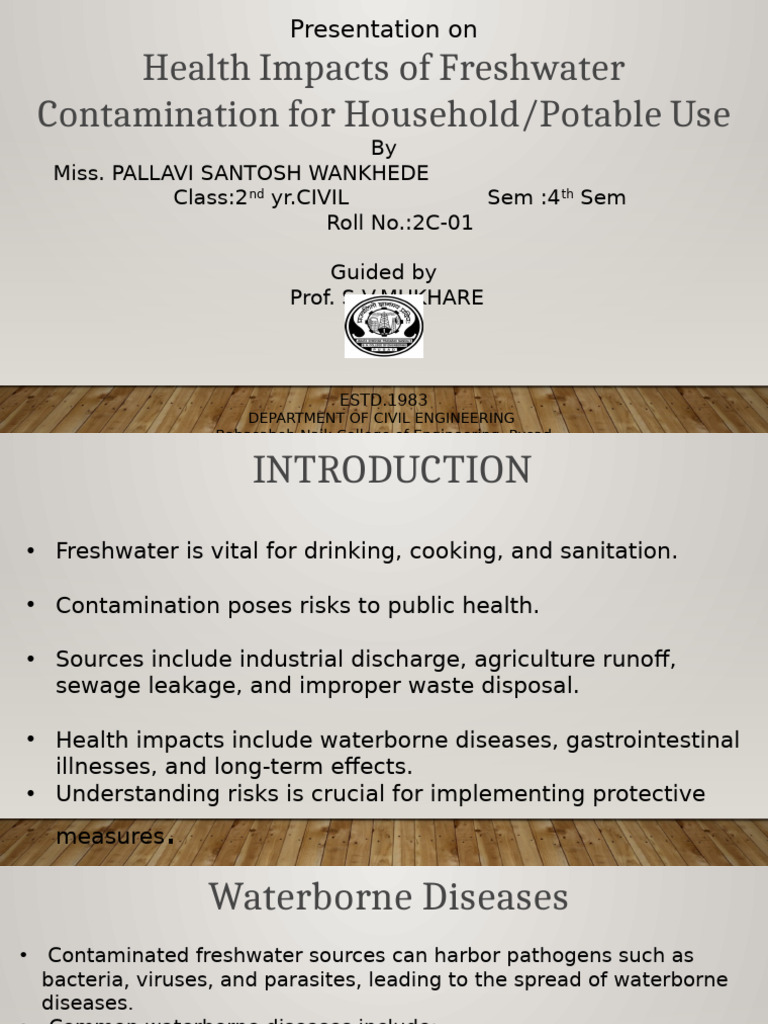 Pallavi Project | PDF