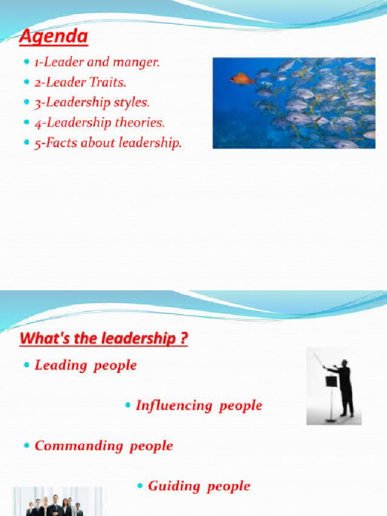 Introduction To Leadership | PDF
