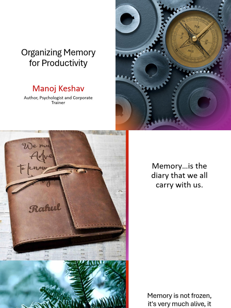 Memory & Productivity | PDF