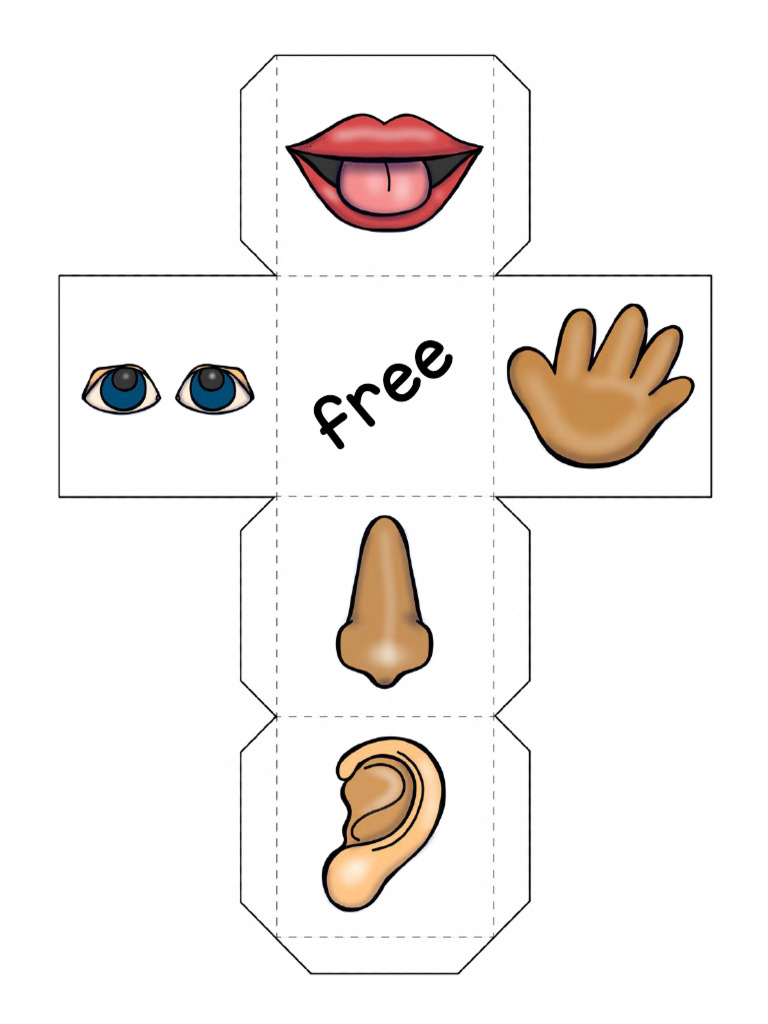 Body Parts Dice Daytresongngu | PDF