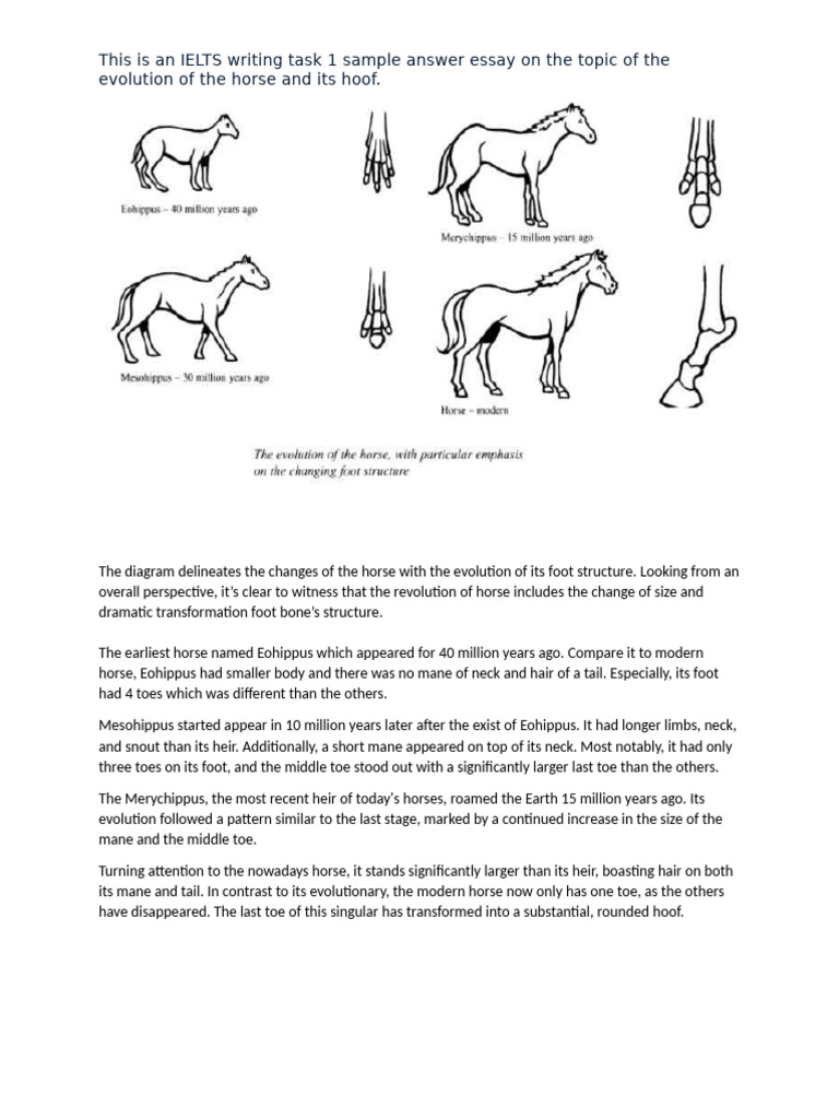 Horse Process | PDF