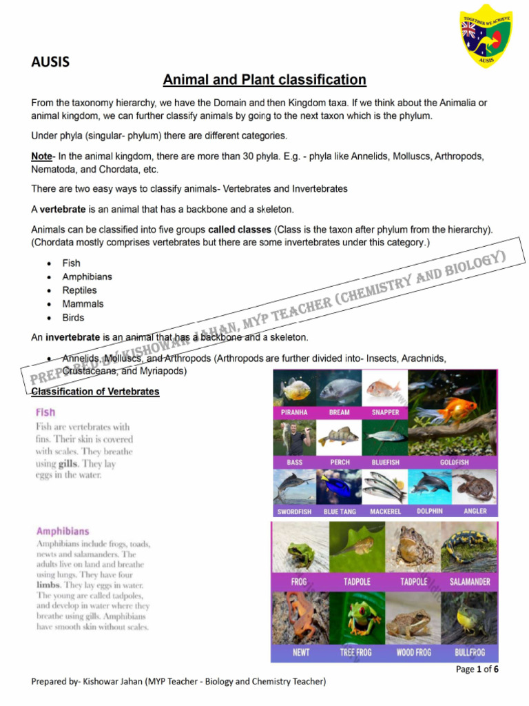 3 T 1 Y 7B Biology Plant - and - Animal - Classification P | PDF