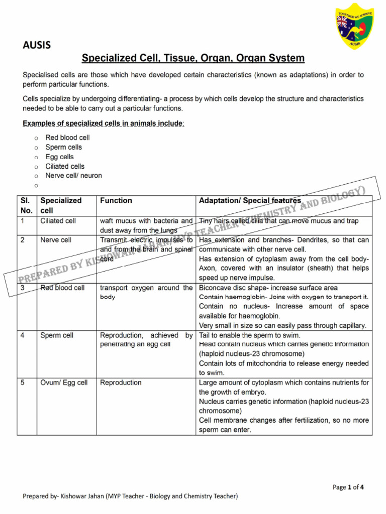 5-T-1-Y-7B-Biology-Specialized_Cell__Tissue__Organ__Organ_System-P | PDF