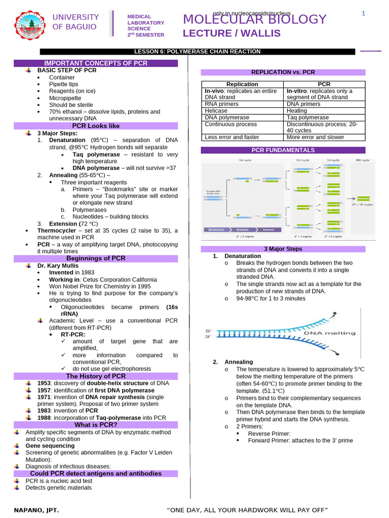 PCR (1) | PDF