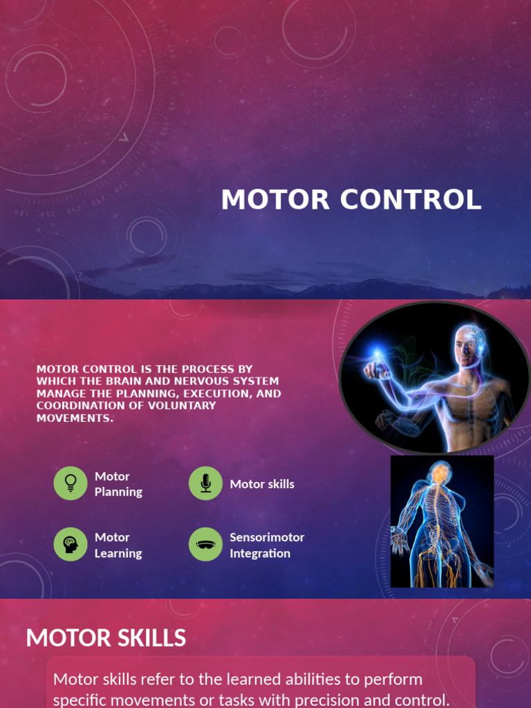 Motor Control | PDF