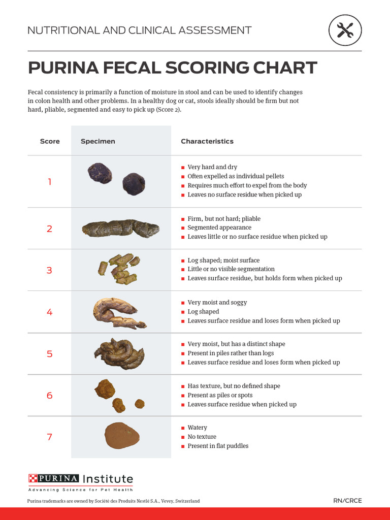 Fecal Chart | PDF