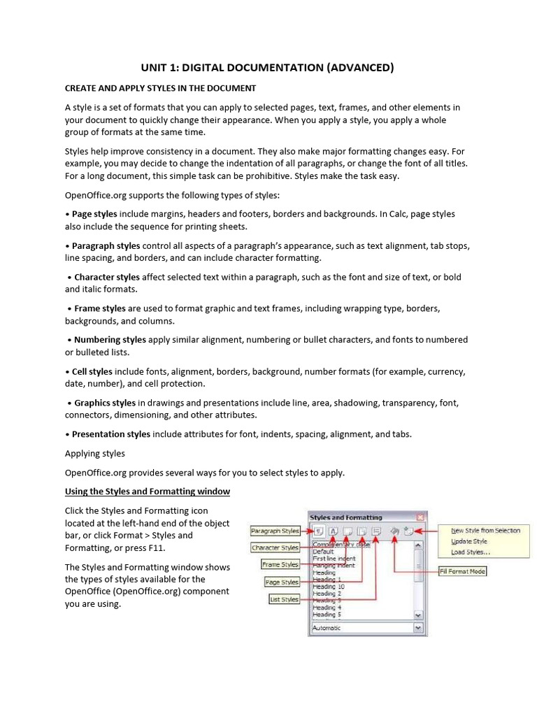 Digital Documentation (Advanced) | PDF