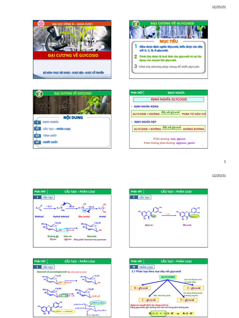 B4a - GLYCOSID (Heterosid) (2021) | PDF
