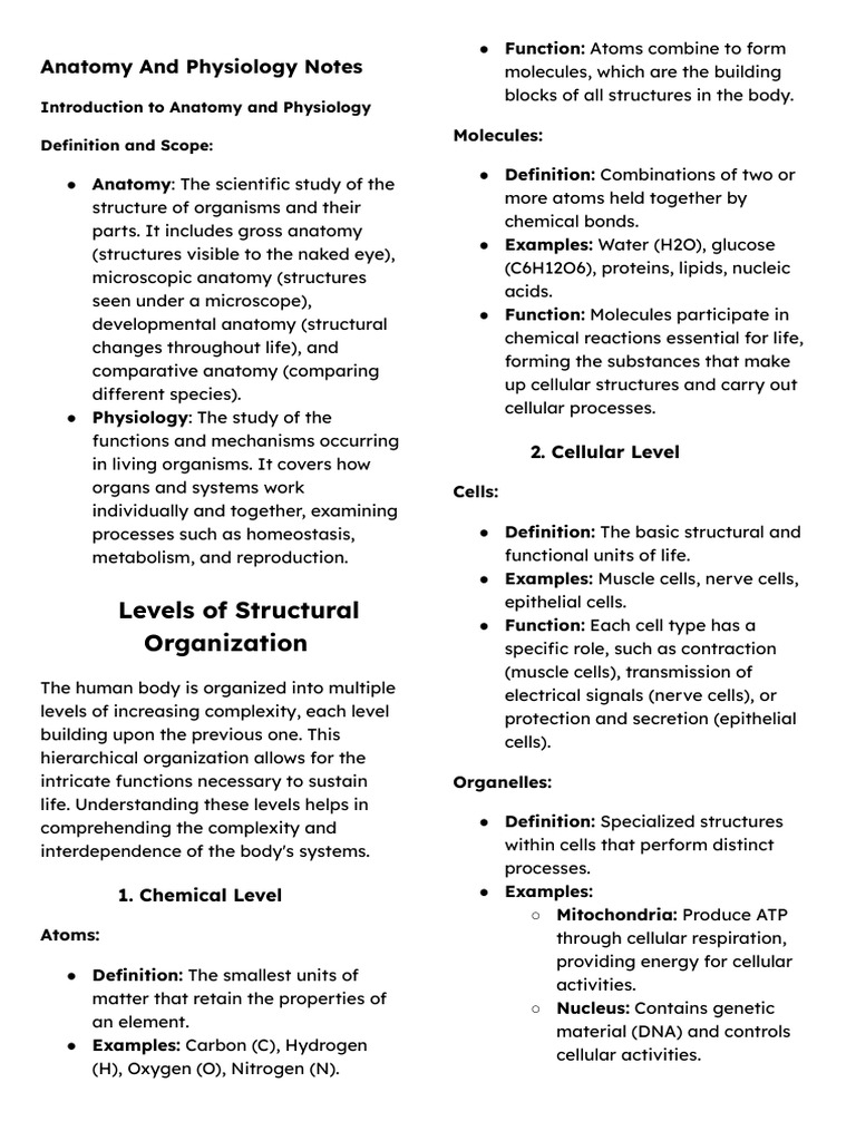 EXTENDED SAMPLE - Anatomy and Physiology Notes | PDF